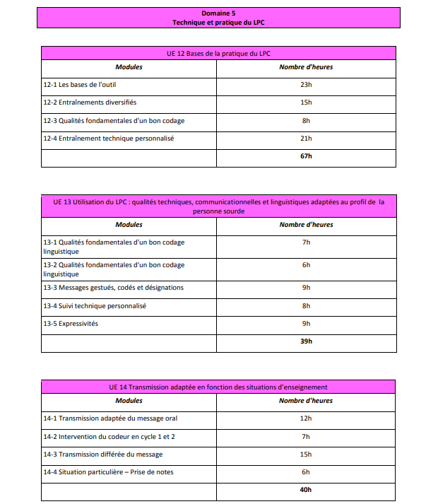 Licence professionnelle Codeur LfPC | INSEI